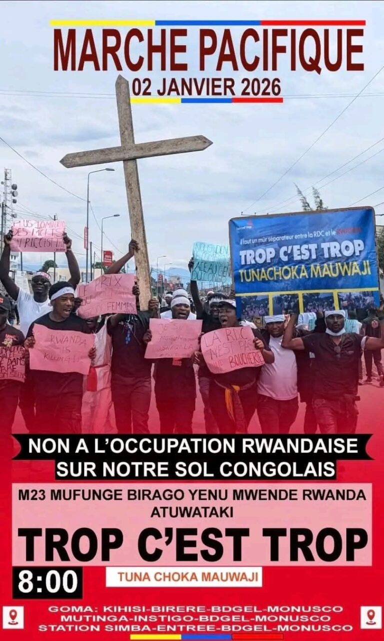 À Goma, la jeunesse congolaise marche pour la paix et la souveraineté ...
